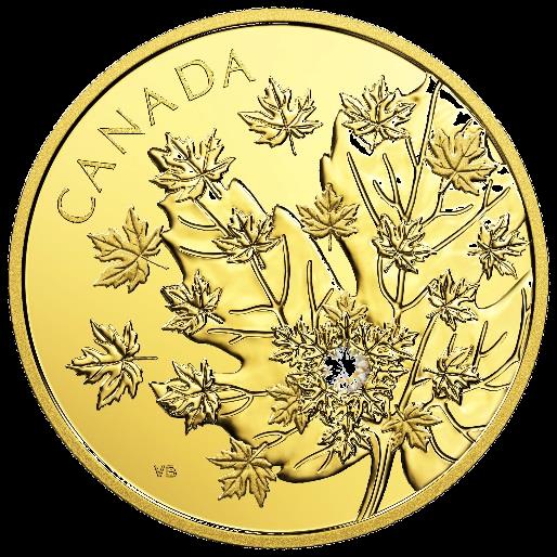 2018 $250 PURE GOLD COIN THE MAGNIFICENT MAPLE - Bullion Mart