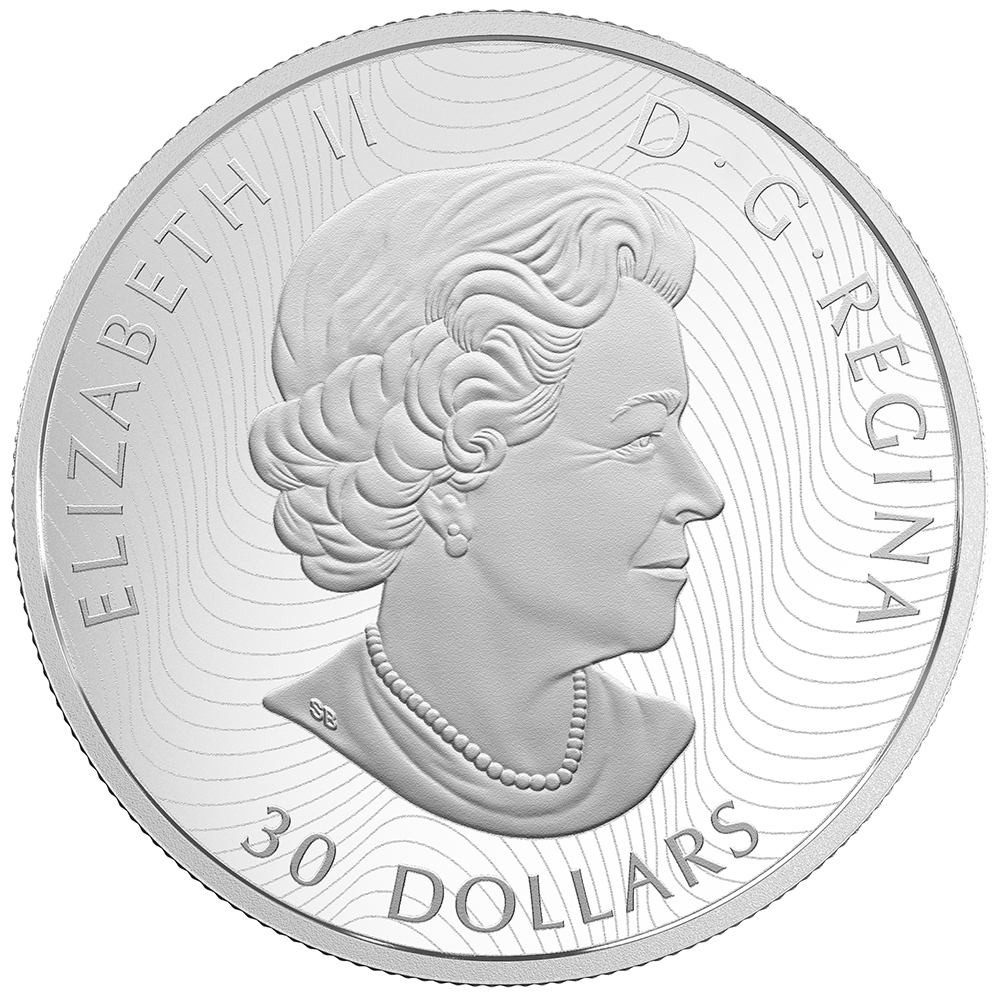2018 $30 Fine Silver Coin Dimensional Nature: Polar Bears