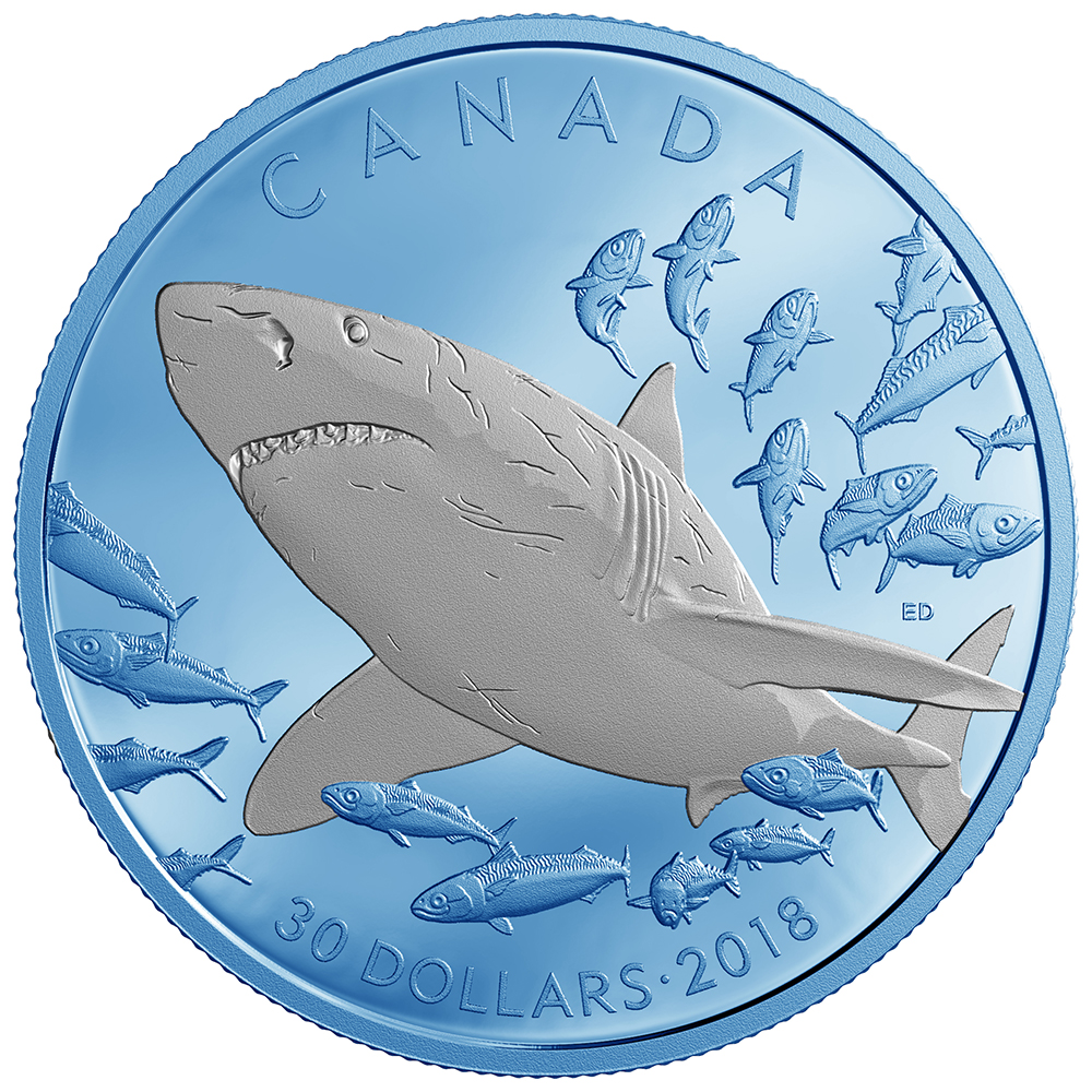 2018 $30 FINE SILVER COIN - THE GREAT WHITE SHARK - Bullion Mart ...