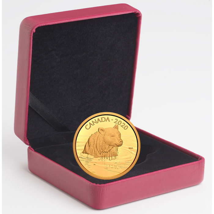 2020 $350 Pure Gold Coin Canadian Wildlife Portraits: The Grizzly Bear ...