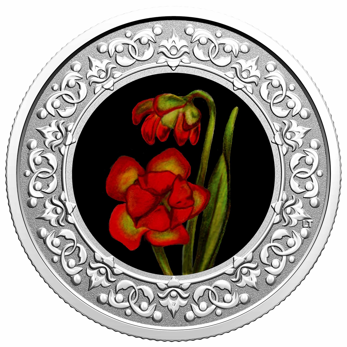 2021 $3 Floral Emblems Of Canada - Newfoundland And Labrador: Pitcher ...