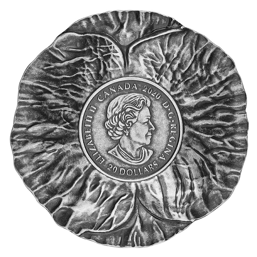 2020 $20 Fine Silver Coin Remembrance Day [178984] - Bullion Mart