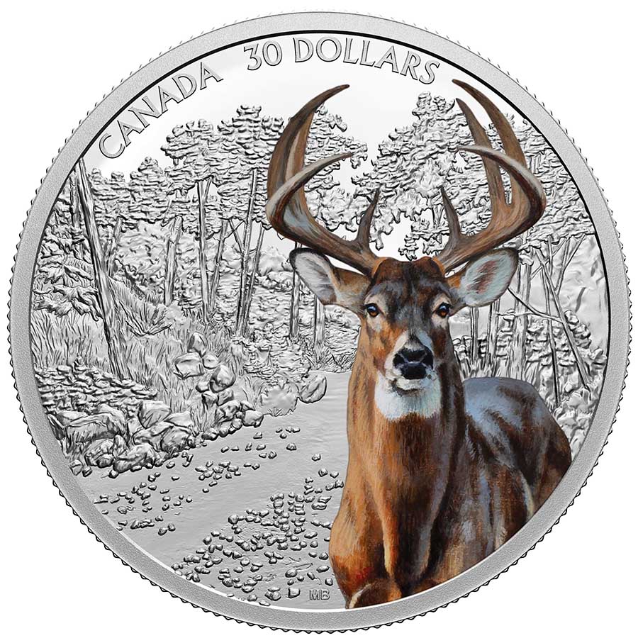 2021 $30 Fine Silver Coin – Imposing Icons: White-Tailed Deer - Bullion ...