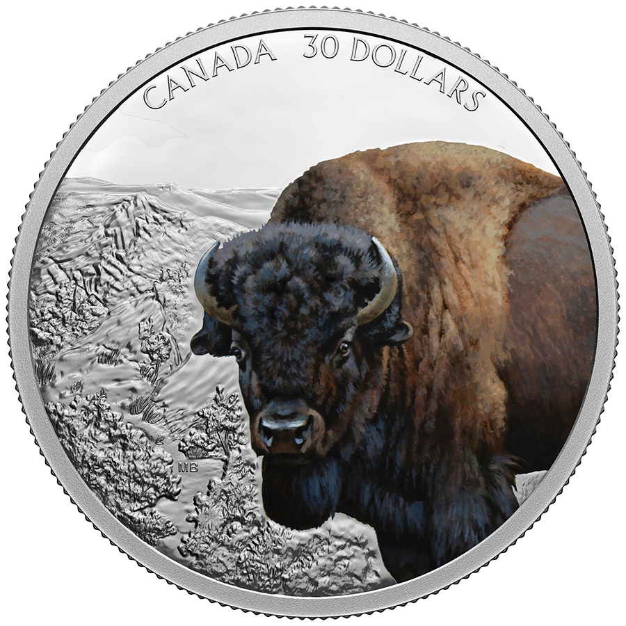 2021 $30 Fine Silver Coin – Imposing Icons: Bison - Bullion Mart