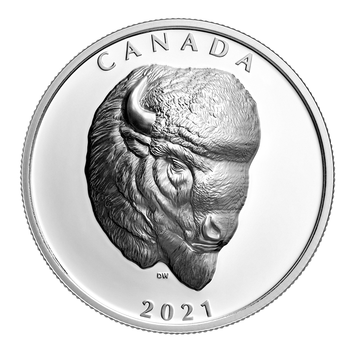 2021 $25 Bold Bison (Ehr) - Pure Silver Coin - Bullion Mart