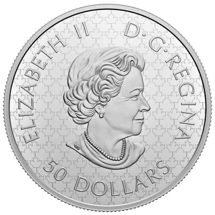 2022 $50 Canadian Ghost Ship - Pure Silver Coin - Bullion Mart