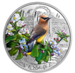 1 oz. Pure Silver Coin – Colourful Birds: Cedar Waxwing - Bullion Mart