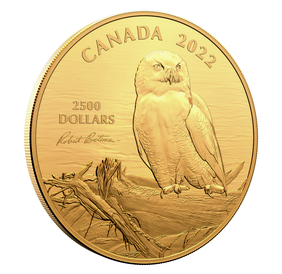1 Kilogram Pure Gold Coin – Snowy Owl on Driftwood by Robert Bateman ...
